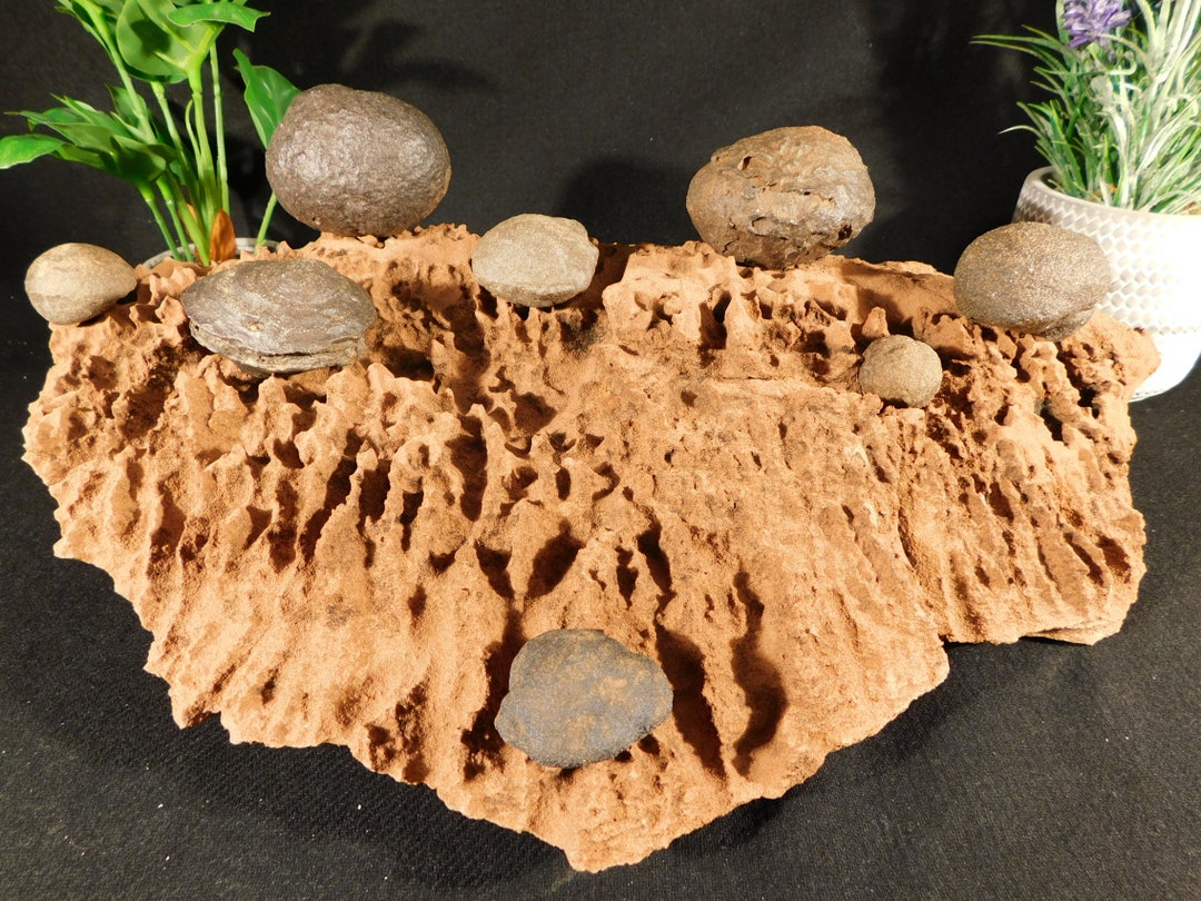 EIGHT! Moqui Marbles on a HUGE! Natural Navajo Sandstone Formation Utah ...