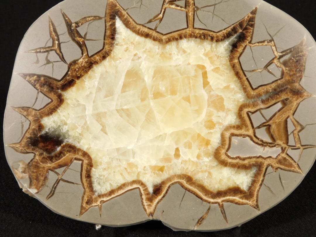 Big! Polished SEPTARIAN Nodule Slab With a Lightning Like Pattern! Utah ...