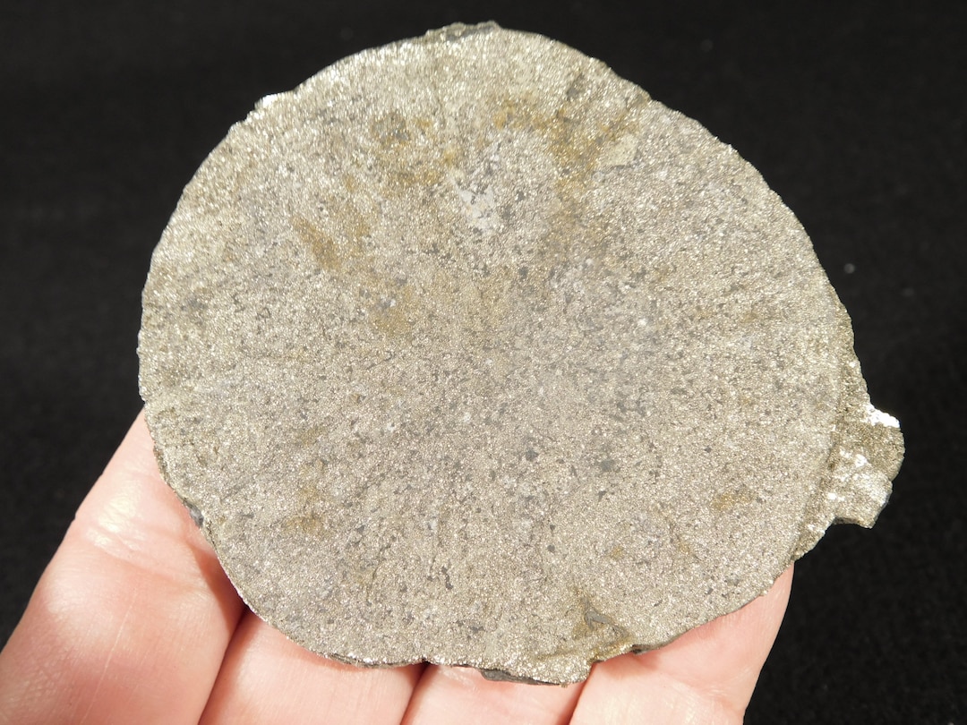 Pyrite SUN or Pyrite Crystal DISC 100% Natural Illinois 98.5gr - Etsy