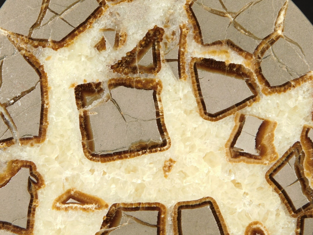 Polished SEPTARIAN Nodule Slab With a Neat Lightning Like Pattern Utah ...