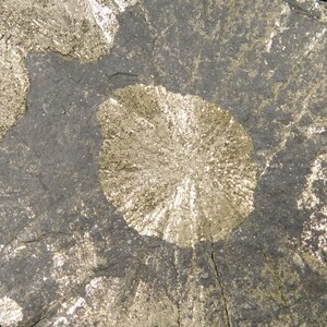 Big Pyrite Crystal SUN or Pyrite Crystal DISC 100% Natural From ...