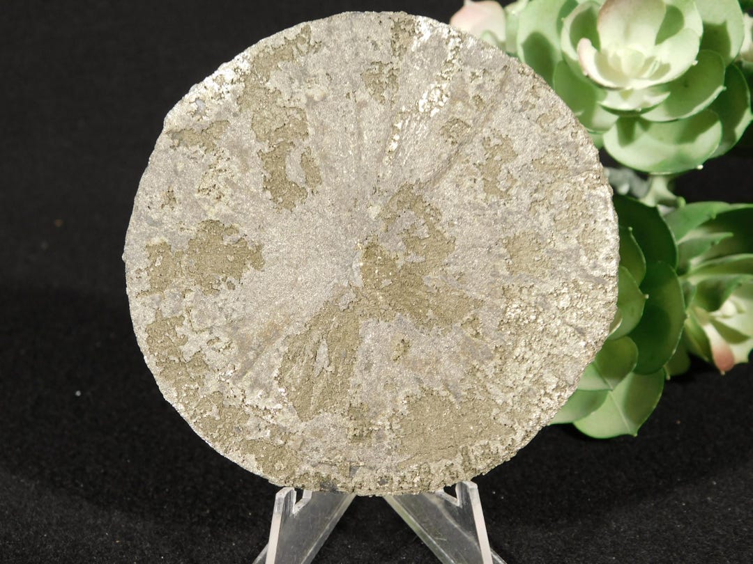 Larger! Pyrite SUN or Pyrite Crystal DISC 100% Natural Illinois 122gr ...
