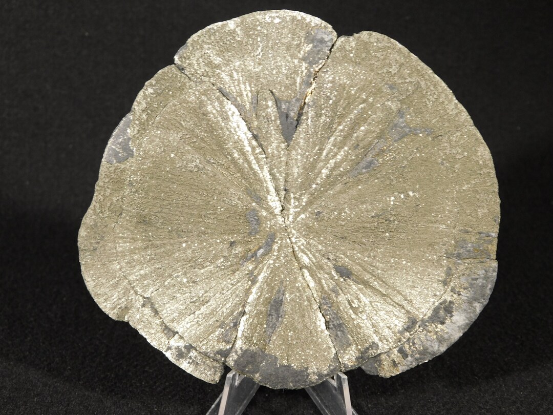 Big Pyrite Crystal SUN or Pyrite Crystal DISC 100% Natural From ...