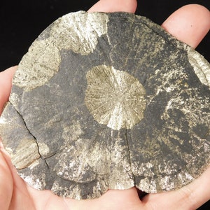 Big Pyrite Crystal SUN or Pyrite Crystal DISC 100% Natural From ...