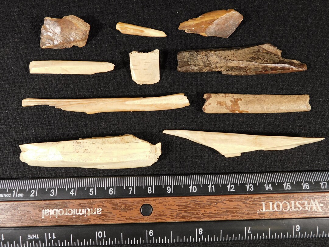 BIG Lot of TEN! Eskimo Inuit Artifacts Bering Sea, St Lawrence Island ...