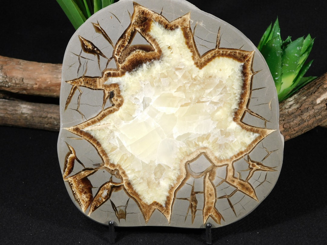 Lighting Like Pattern BIG Polished SEPTARIAN Nodule Slab From Utah ...