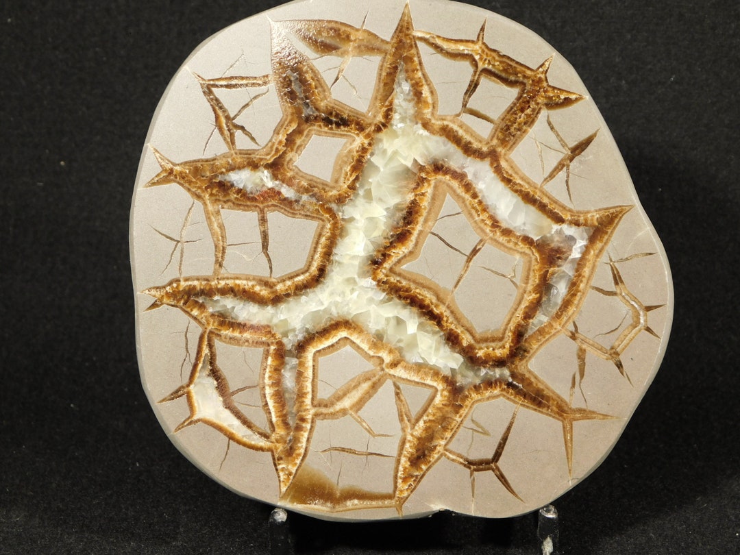 Polished SEPTARIAN Nodule Slab or Slice 100% Natural Utah 246gr - Etsy