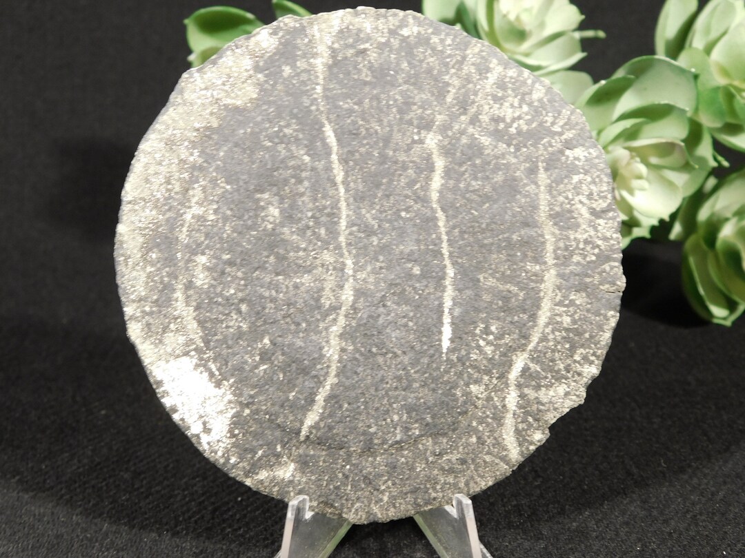 Big! Pyrite SUN or Pyrite Crystal DISC 100% Natural Illinois 112gr - Etsy