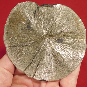 Big Pyrite SUN or Pyrite DISC Crystal 100% Natural From Illinois 180gr ...