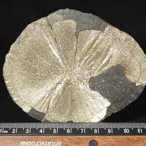 Big Pyrite SUN or Pyrite DISC Crystal 100% Natural From Illinois 161gr ...