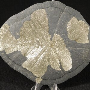 Big Pyrite SUN or Pyrite DISC Crystal 100% Natural From Illinois 161gr ...