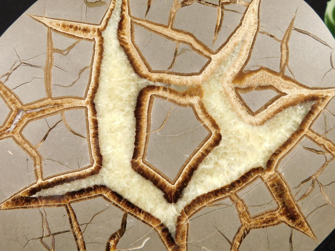 Big Polished SEPTARIAN Nodule Slab With a Lightning Like Pattern Utah ...