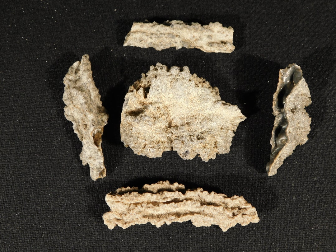 Big Lot of Larger 100% Natural FULGURITE S or Petrified Lighting 30.2gr ...