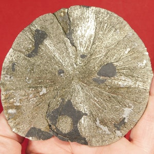 Big Pyrite SUN or Pyrite DISC Crystal 100% Natural From Illinois 180gr ...