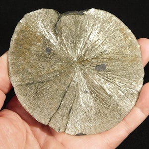 Big Pyrite SUN or Pyrite DISC Crystal 100% Natural From Illinois 180gr ...