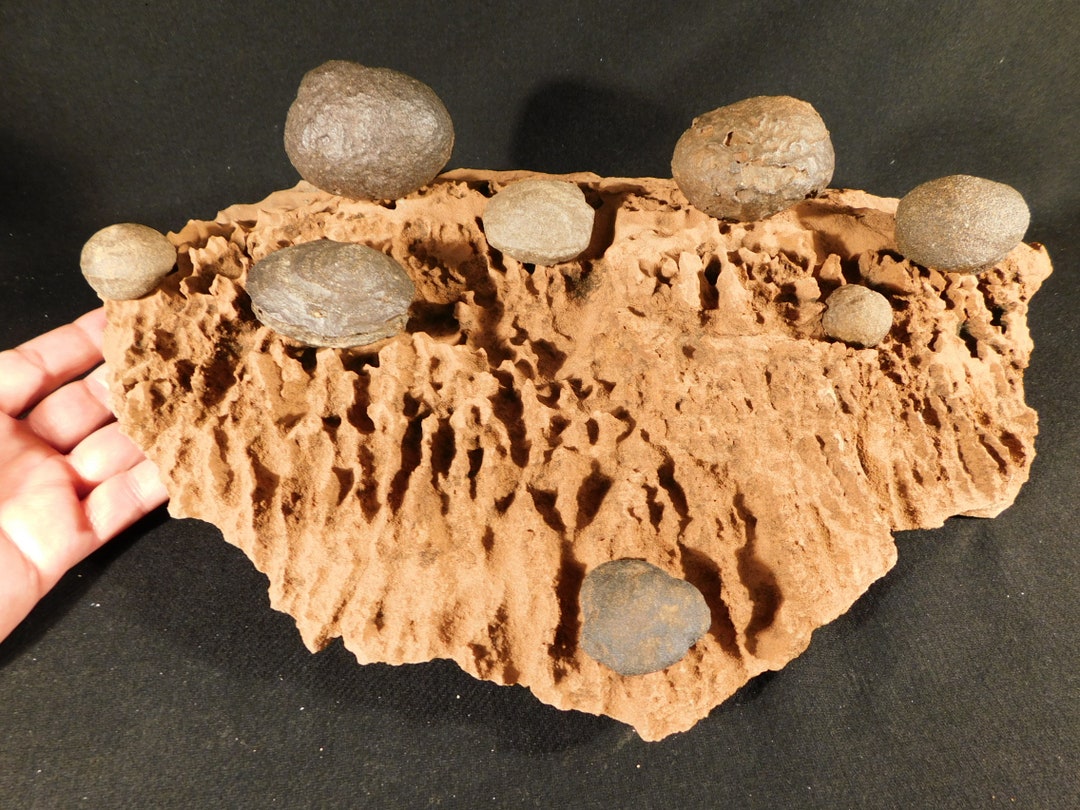 EIGHT Moqui Marbles on a HUGE Natural Navajo Sandstone Formation Utah ...