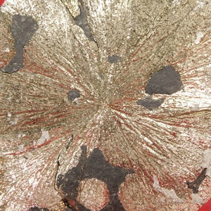 Big Pyrite SUN or Pyrite DISC Crystal 100% Natural From Illinois 180gr ...