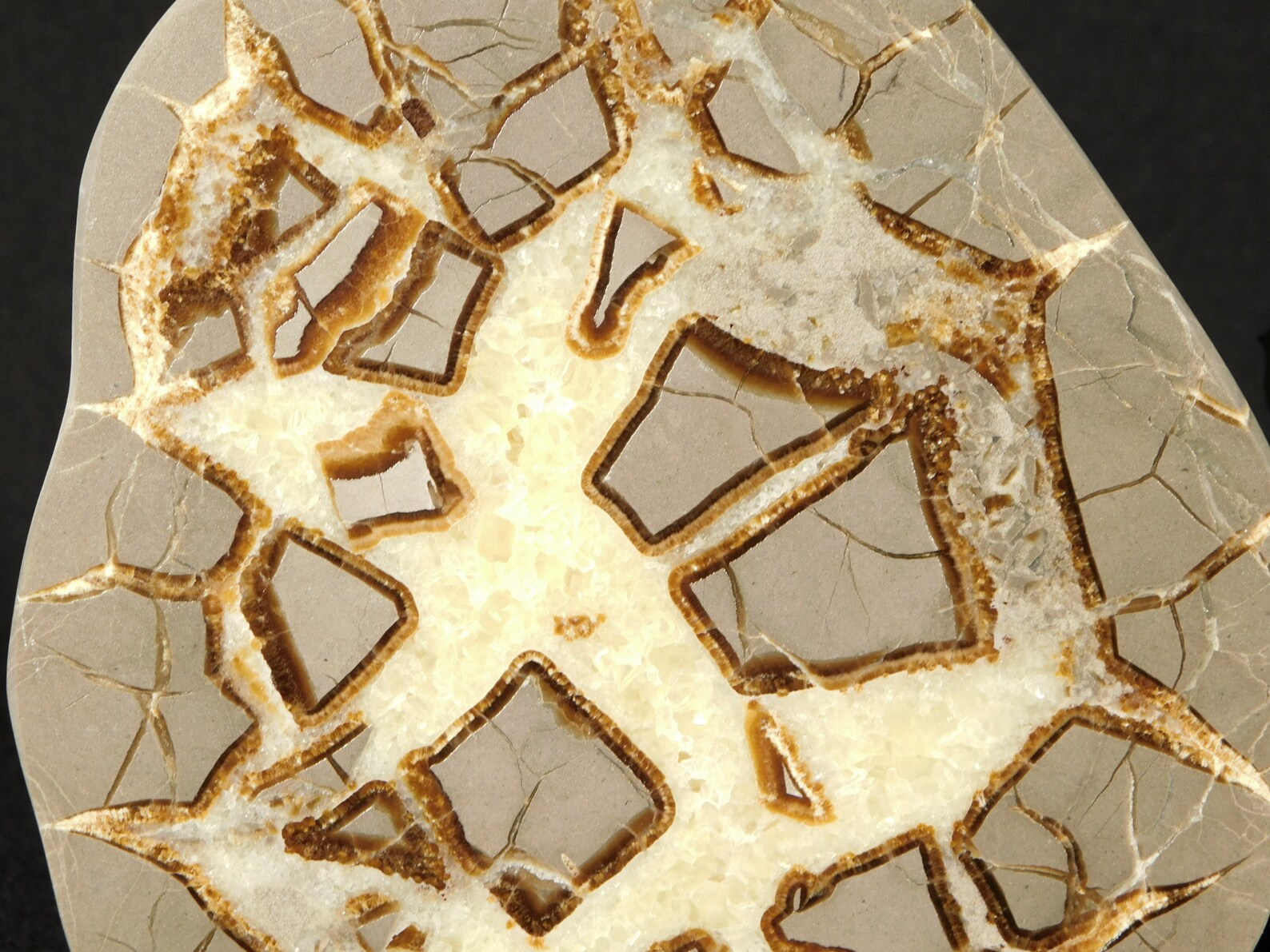 Polished SEPTARIAN Nodule Slab With a Neat Lightning Like Pattern Utah ...