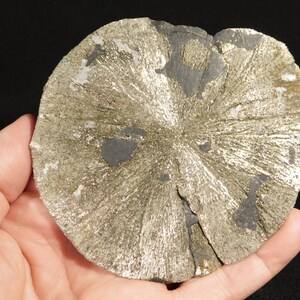 Big Pyrite SUN or Pyrite DISC Crystal 100% Natural From Illinois 180gr ...