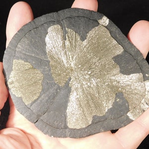 Big Pyrite SUN or Pyrite DISC Crystal 100% Natural From Illinois 161gr ...