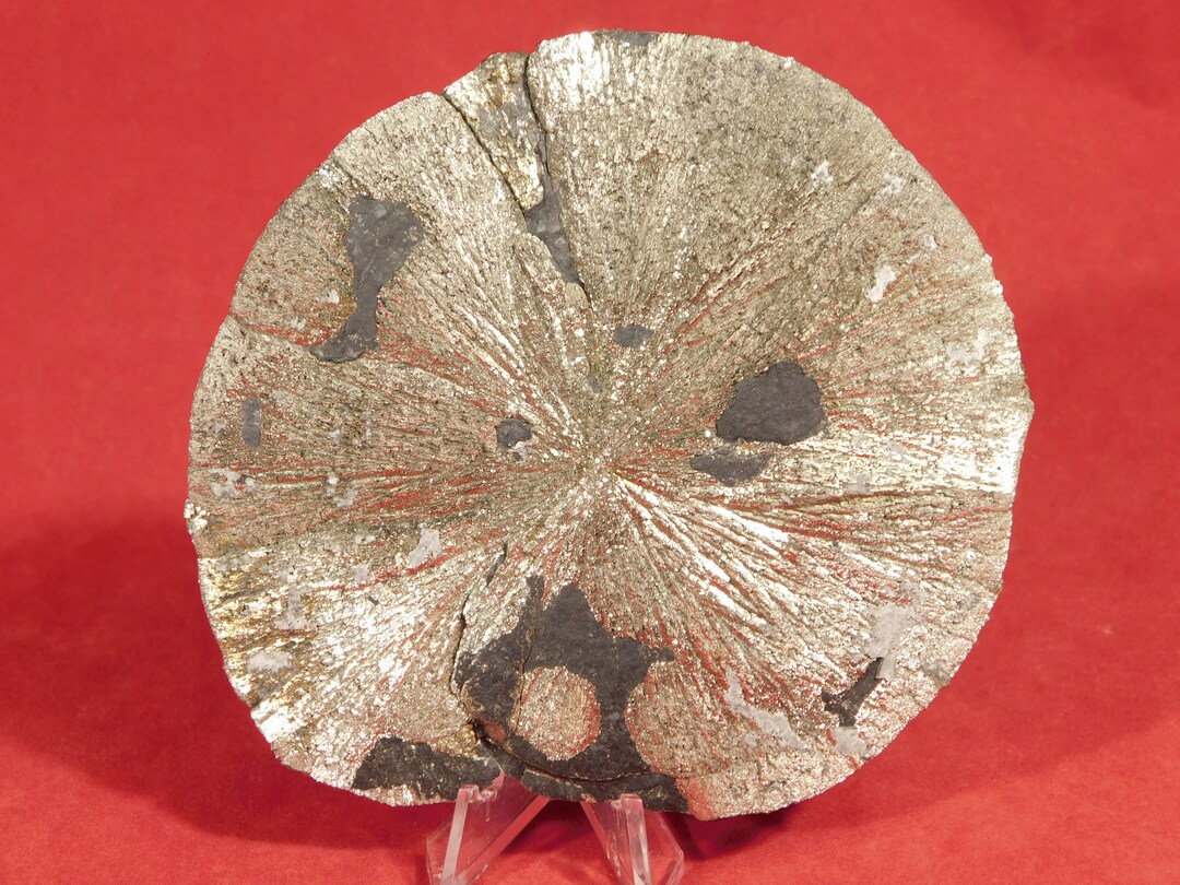 Big Pyrite SUN or Pyrite DISC Crystal 100% Natural From Illinois 180gr ...