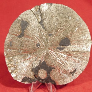 Big Pyrite SUN or Pyrite DISC Crystal 100% Natural From Illinois 180gr ...