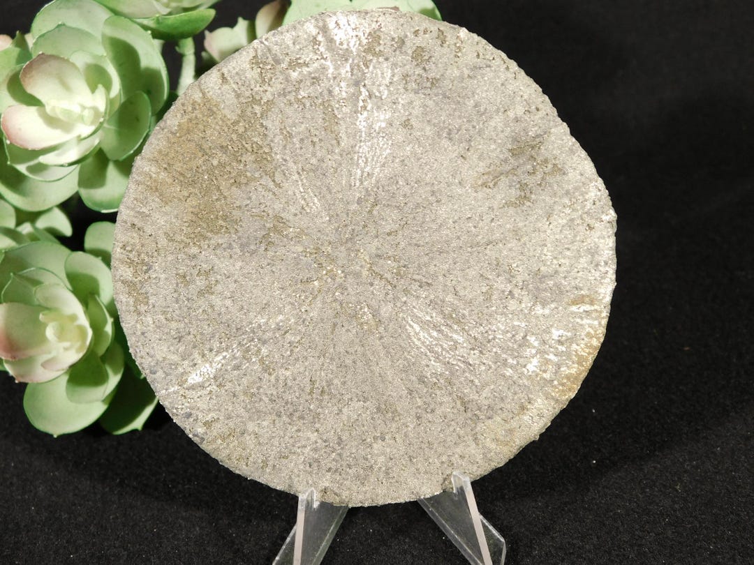 Big Pyrite SUN or Pyrite Crystal DISC 100% Natural Illinois 157gr - Etsy