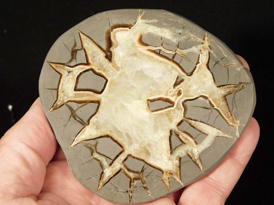 Polished SEPTARIAN Nodule Slab or Slice 100% Natural Utah 202gr - Etsy