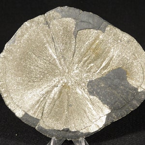 Big Pyrite SUN or Pyrite DISC Crystal 100% Natural From Illinois 161gr ...
