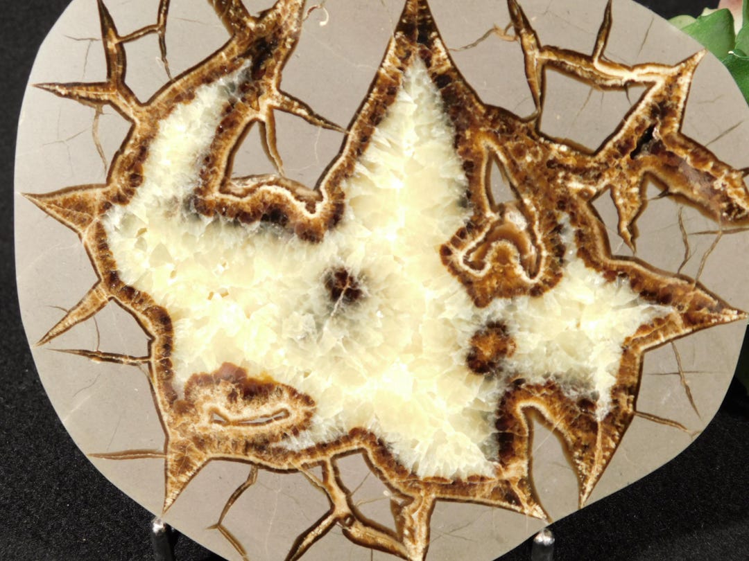 Polished SEPTARIAN Nodule Slab With a Lightning Like Pattern! Utah ...