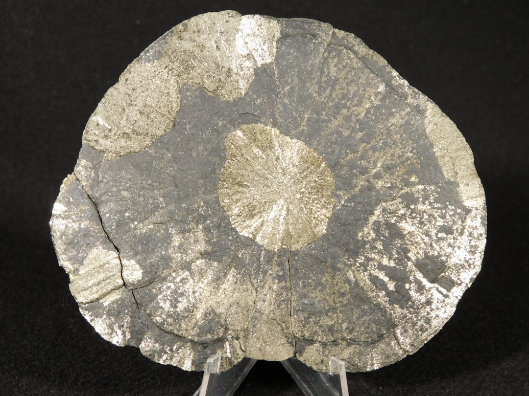 Big Pyrite Crystal SUN or Pyrite Crystal DISC 100% Natural From ...