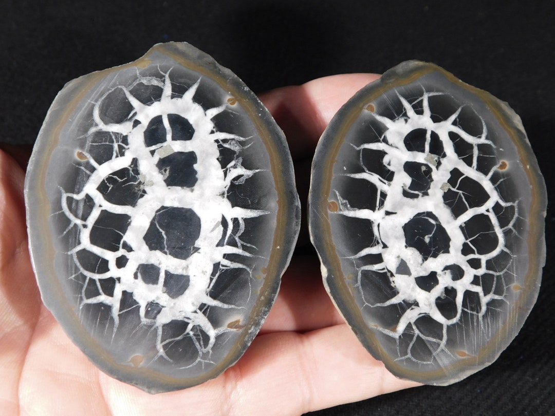 Neat Lighting Like Pattern Split and Polished SEPTARIAN Nodule Morocco ...