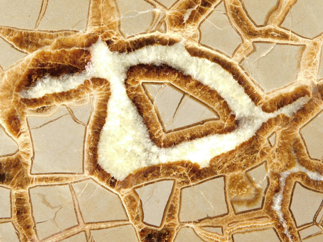 Lighting Like Pattern Polished SEPTARIAN Nodule Slab With Stand From ...