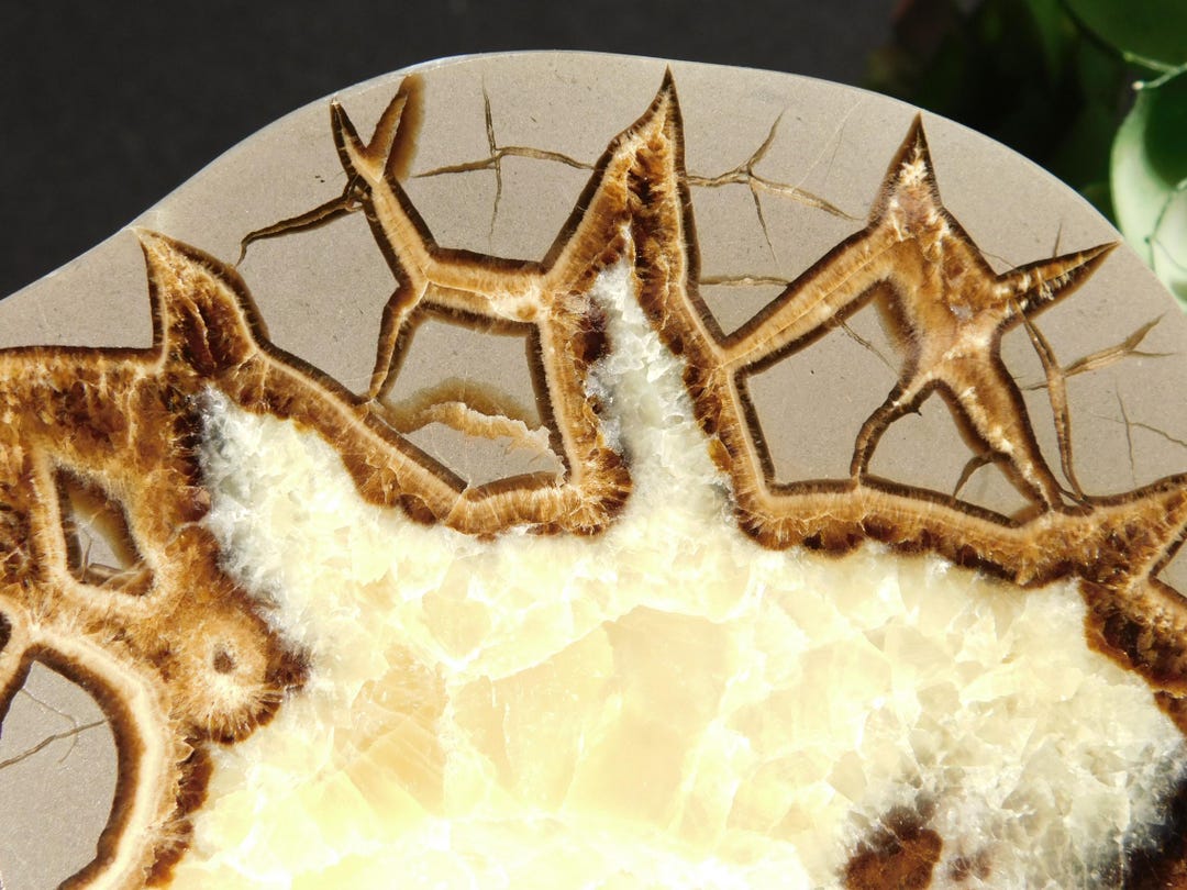 Big Polished SEPTARIAN Nodule Slab With a Lightning Like Pattern Utah ...