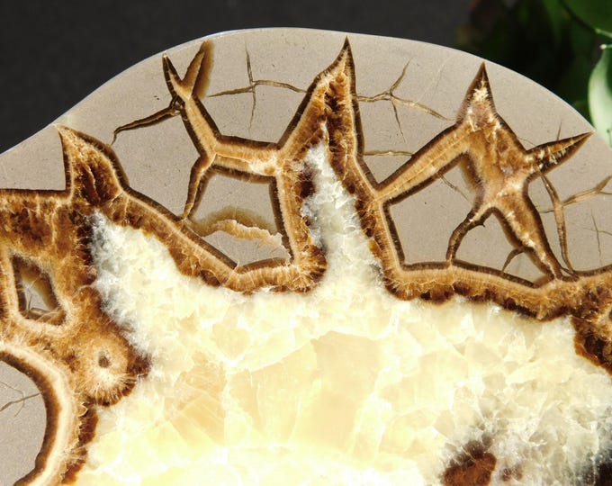 Big! Polished SEPTARIAN Nodule Slab With a Lightning Like Pattern! Utah ...