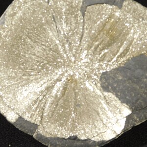 Big Pyrite SUN or Pyrite DISC Crystal 100% Natural From Illinois 161gr ...