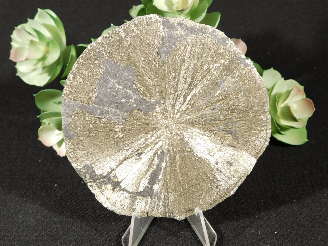 Big! Pyrite SUN or Pyrite Crystal DISC 100% Natural Illinois 124gr - Etsy