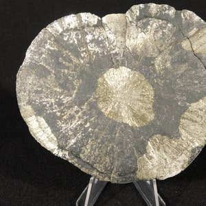 Big Pyrite Crystal SUN or Pyrite Crystal DISC 100% Natural From ...