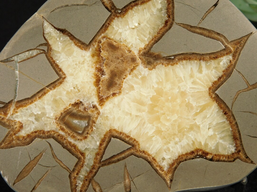 Polished SEPTARIAN Nodule Slice With Stand! Utah 215gr - Etsy