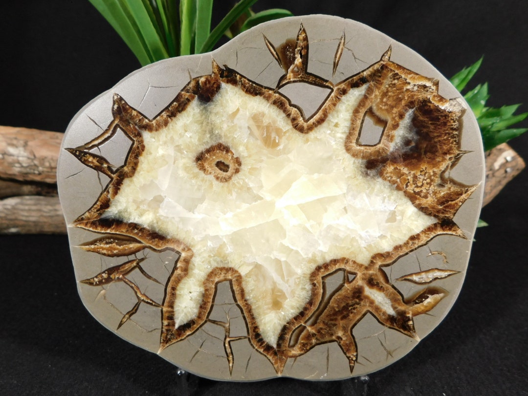 Lighting Like Pattern! A Big Polished SEPTARIAN Nodule Slab W/stand ...