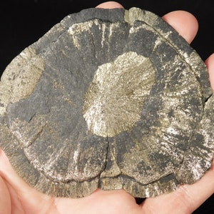 Big Pyrite Crystal SUN or Pyrite Crystal DISC 100% Natural From ...