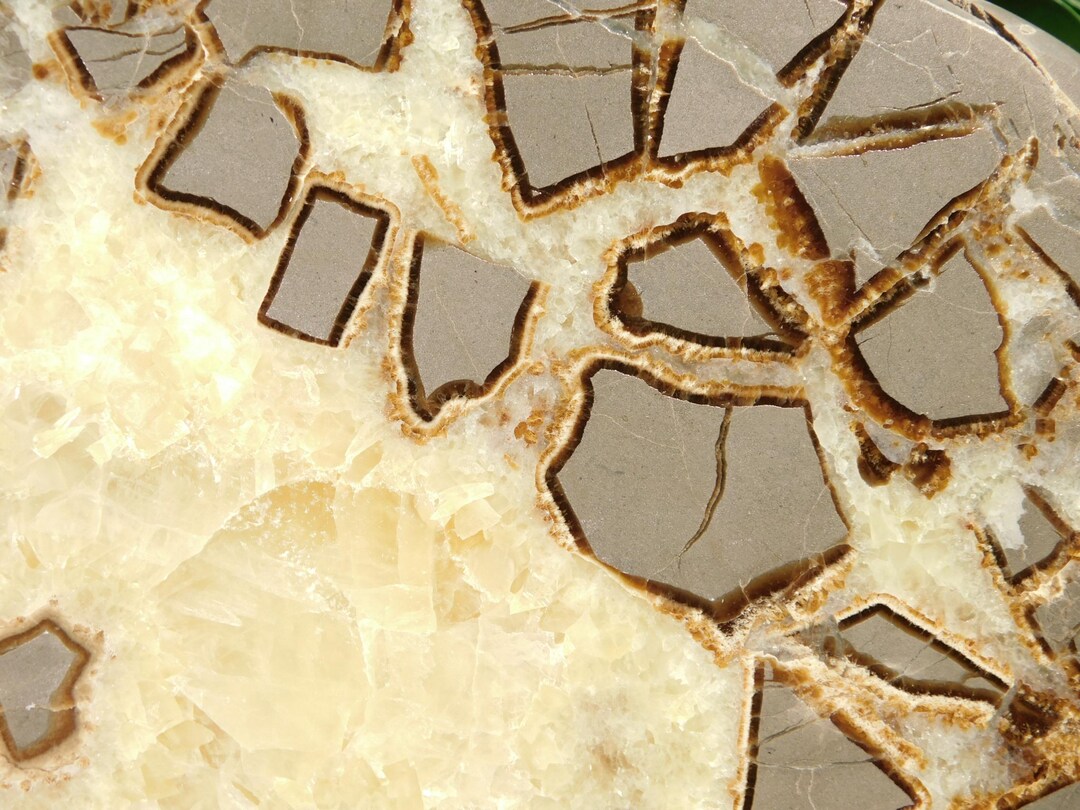 Big! Polished SEPTARIAN Nodule Slab With a Lightning Like Pattern! Utah ...