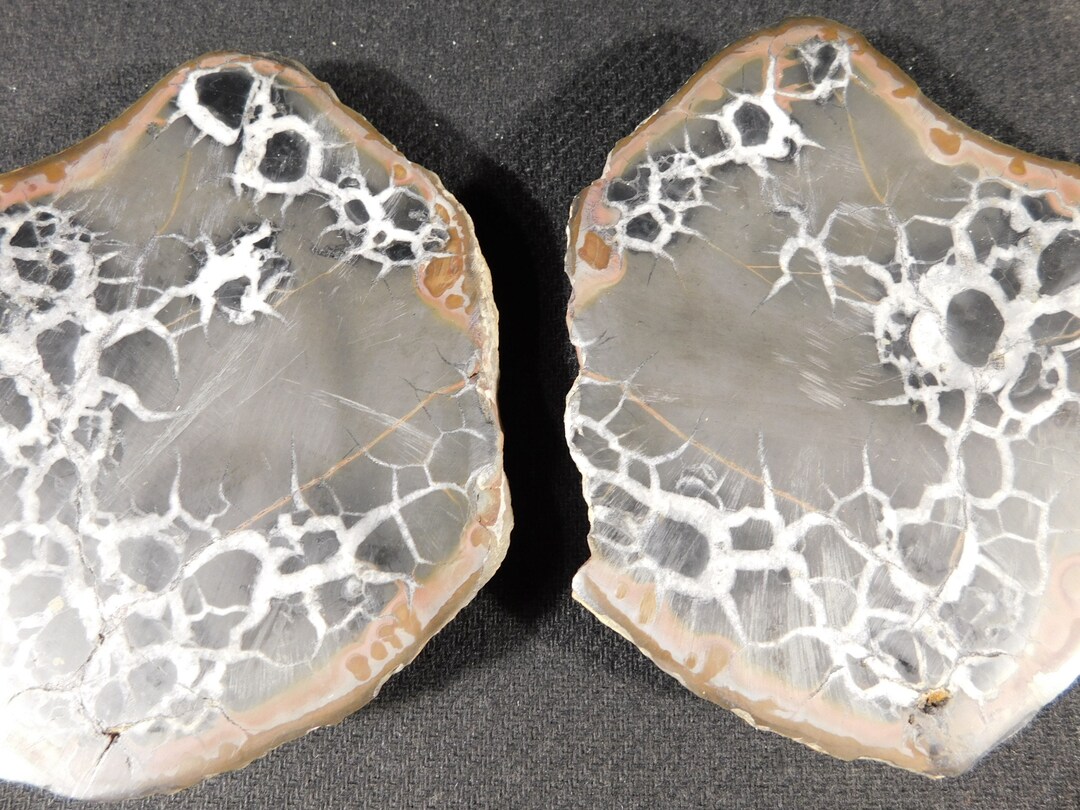 Lighting Like Pattern! BIG Split and Polished SEPTARIAN Nodule With ...