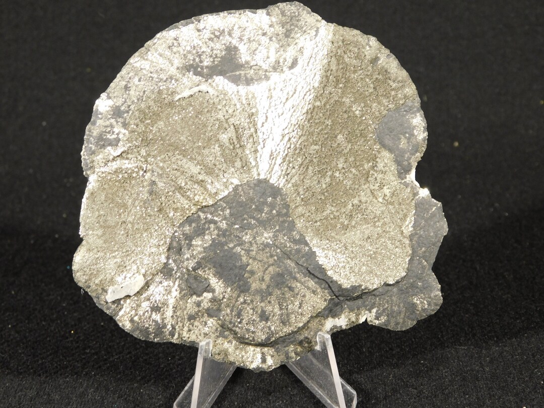 Big! Pyrite SUN or Pyrite Crystal DISC 100% Natural Illinois 147gr - Etsy