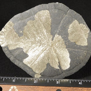Big Pyrite SUN or Pyrite DISC Crystal 100% Natural From Illinois 161gr ...