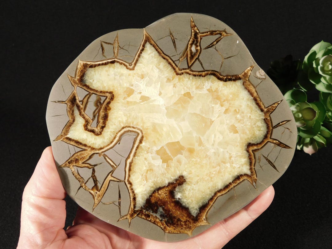Big! Polished SEPTARIAN Nodule Slab With a Lightning Like Pattern! Utah ...