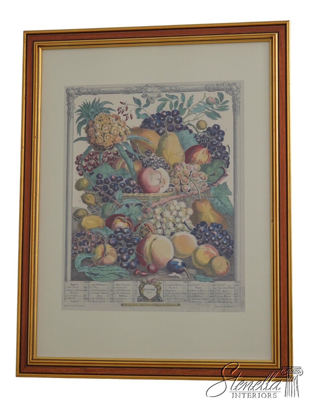 F60212EC: Colonial Williamsburg October Framed Botanical Anniversary ...