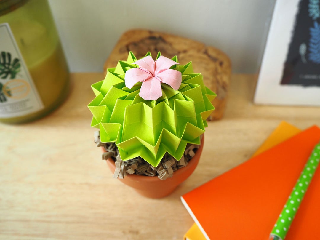 Cactus Succulent Origami Paper House Plant - Stay Home Gift - 1st ...