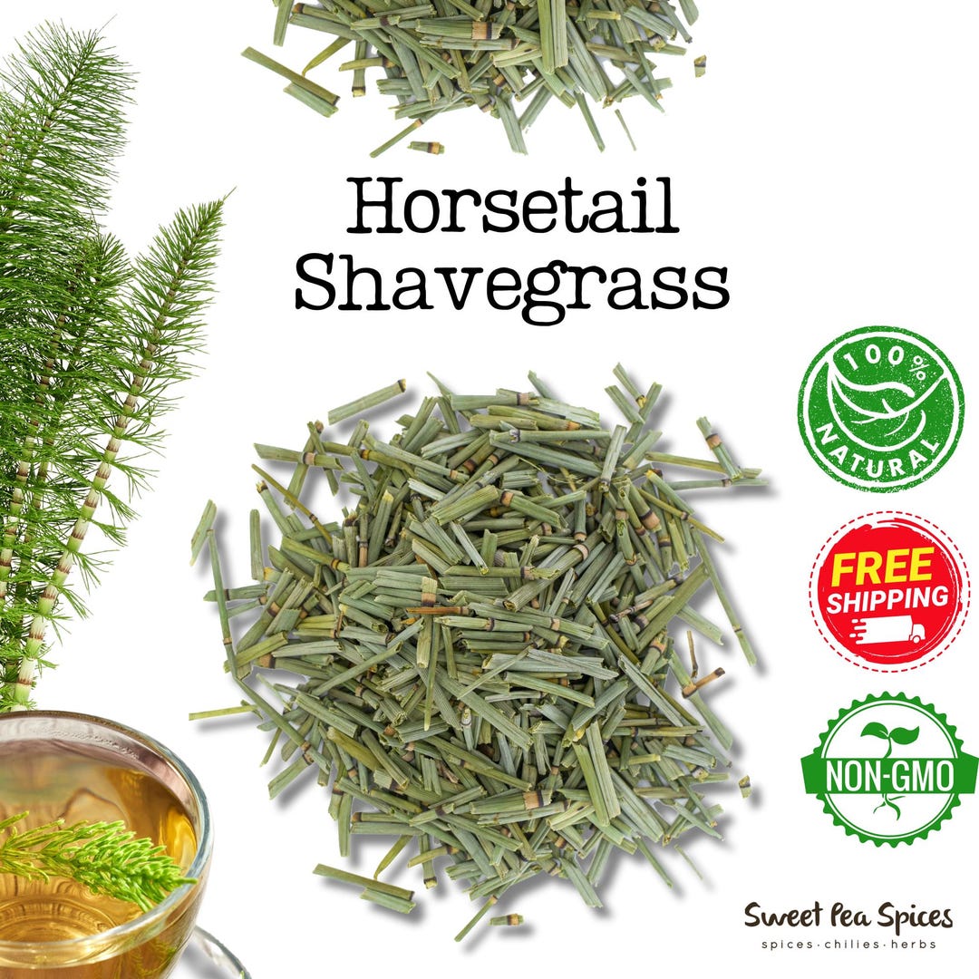 Shavegrass - Bulk - Cola De Caballo Planta - Horsetail - Equisetum ...