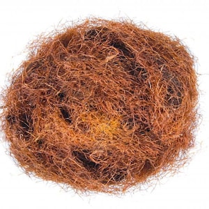 Corn Silk - All Sizes - Barba De Elote Herb Tea - Corn Silk - Maize ...